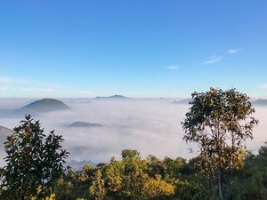 10 Best Places to Visit in Lambasingi, Things to Do & Sightseeing (2024)