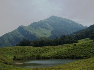 11 Best trekking places in Kerala | Trekking in Kerala | Trekking near ...