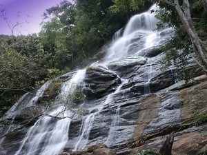 Best Time to Visit Yercaud | Weather & Best Season