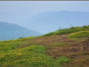 Panchgani Tourism | Tourist Places To Visit & Travel Guide to Panchgani