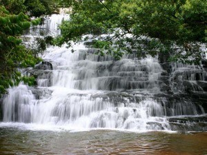 29 Best Waterfalls near Coimbatore | Waterfalls around Coimbatore ...