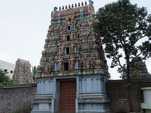 Kas Pathar / Kaas Plateau, Satara - Best time to visit