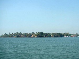 41 Best Places to Visit in Kochi, Things to Do & Sightseeing (2024)