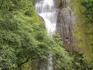 59 Best Places to Visit in Shimla, Things to Do & Sightseeing (2024)