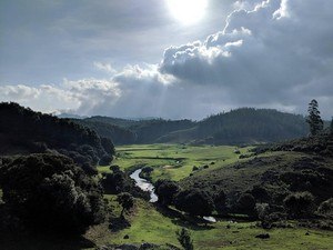 45 Best Places to Visit in Ooty, Things to Do & Sightseeing (2024)