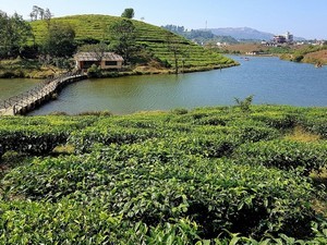 22 Best Places to Visit in Vagamon, Things to Do & Sightseeing (2022)