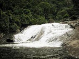 48 Best Waterfalls near Kochi (Cochin) | Waterfalls around Kochi