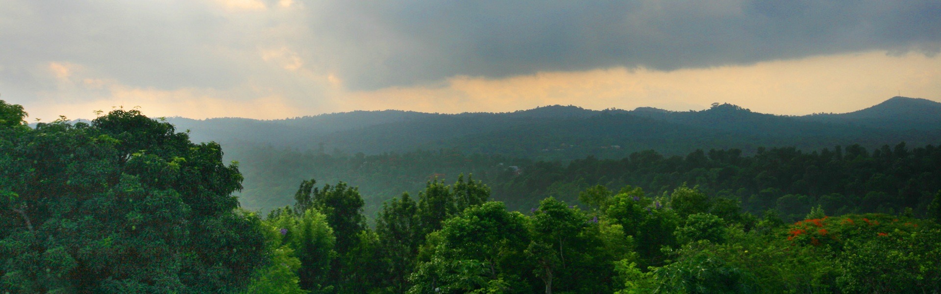 5 Unique Experiences in Coorg | Trawell.in Blog