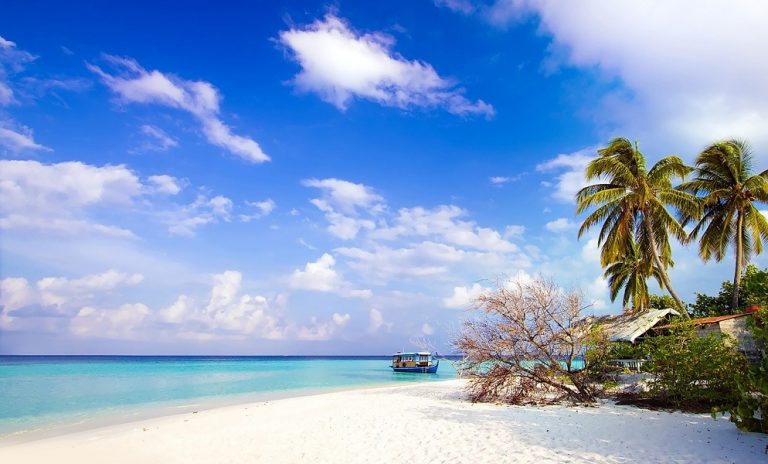 14 Best Places to visit in February in India | Trawell.in Blog