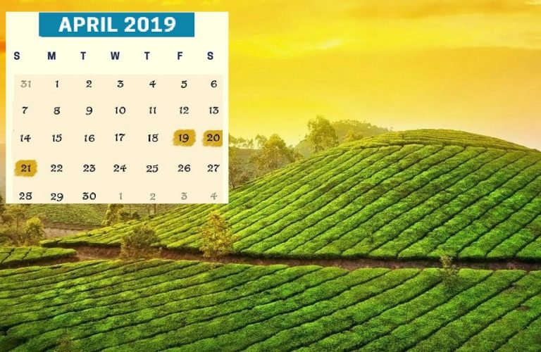 Long Weekend Calendar 2019: Plan Where To Head And When! | Trawell.in Blog