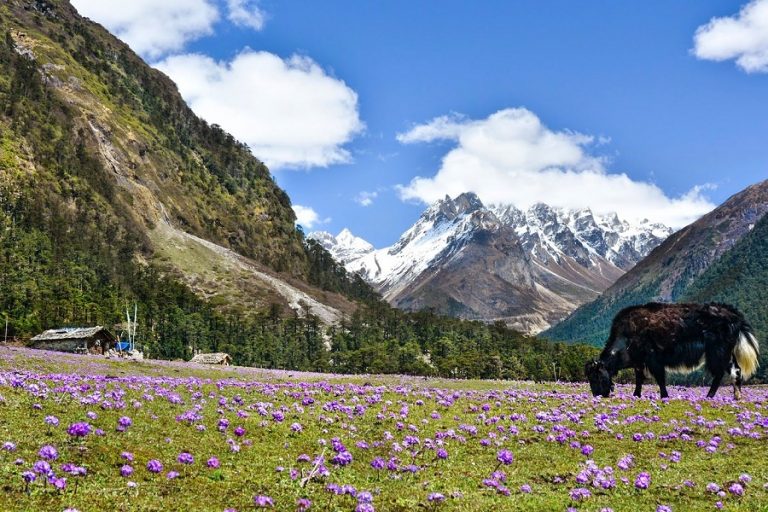 18 Best Places to visit in May in India | Trawell.in Blog