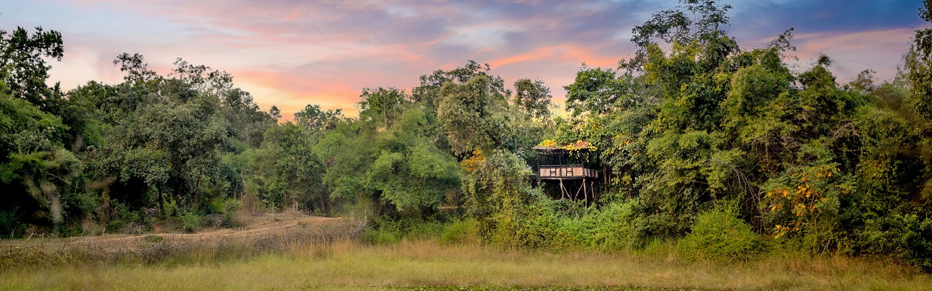 10 Best Wildlife Resorts in India | Trawell.in Blog