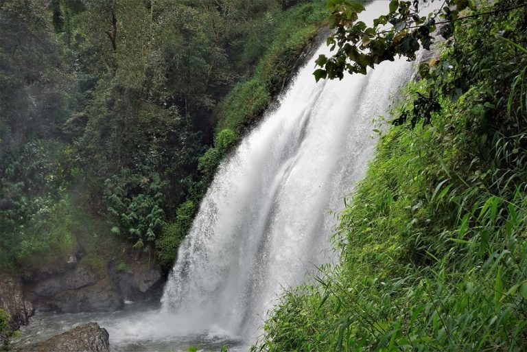 5 Stunning Waterfalls in Coorg that will Leave You Awestruck | Trawell ...