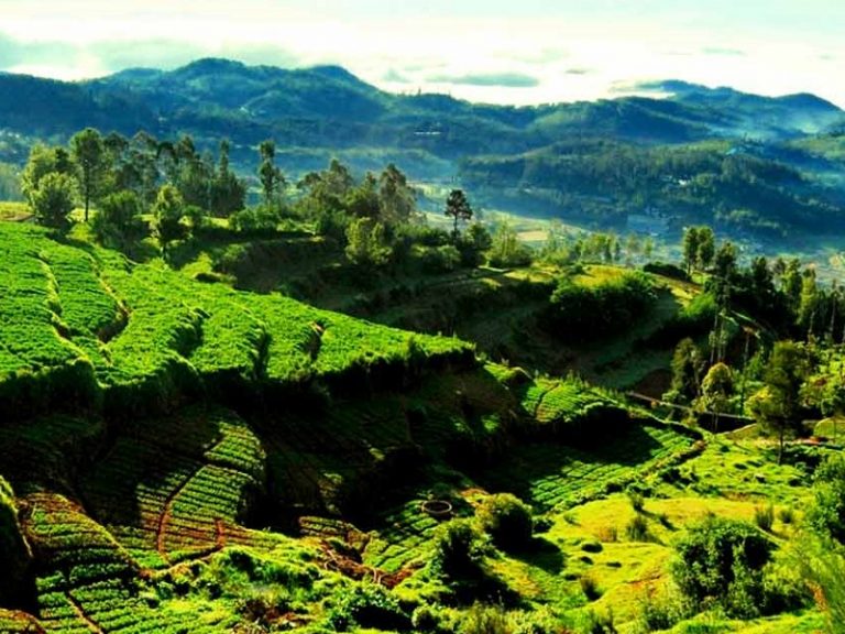 5 Best Viewpoints in Ooty | Trawell.in Blog