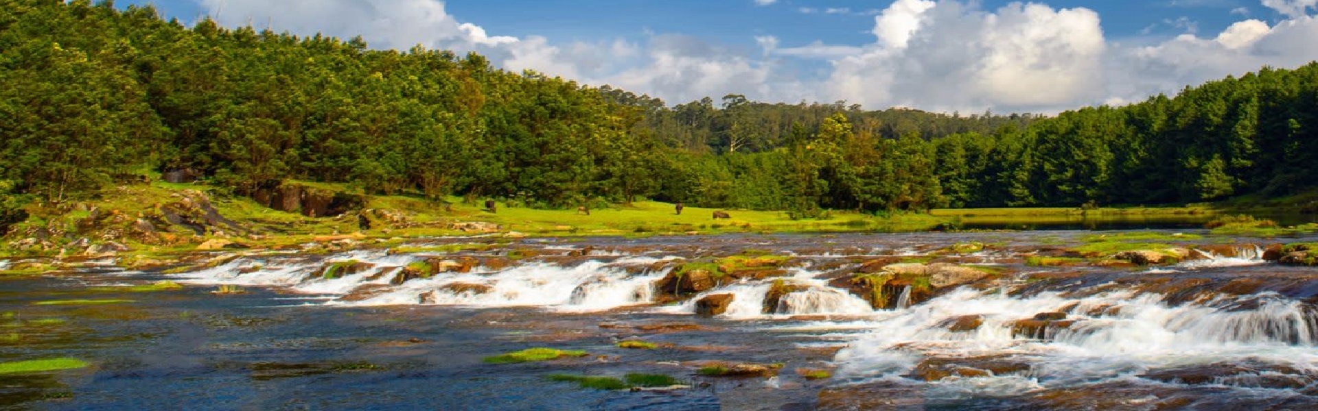 6 Splendid Waterfalls in Ooty | Trawell.in Blog