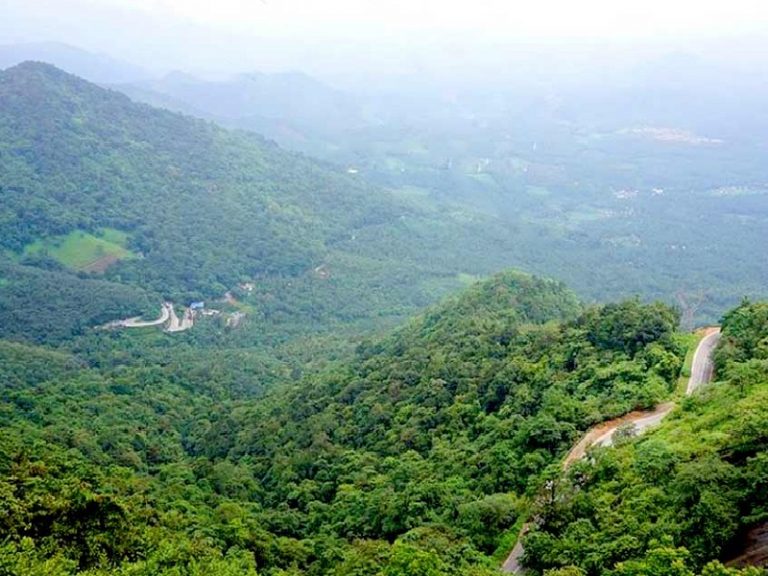 Top Reasons to visit Wayanad | Trawell.in Blog