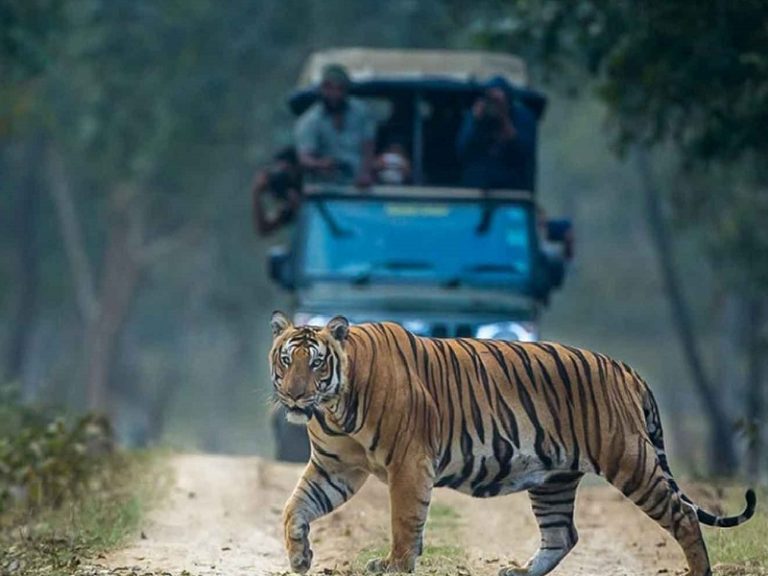 Exciting Adventure Activities in Coorg | Trawell.in Blog