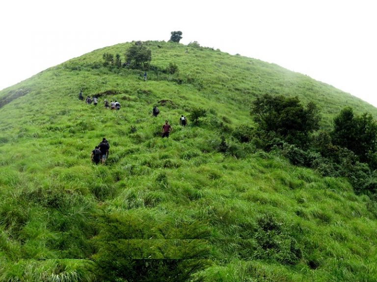 Best Places for Trekking in Wayanad | Trawell.in Blog