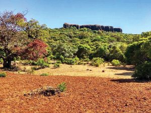 Kamalgad_Fort_Main | Trawell.in Blog