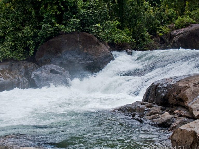 Waterfalls in Wayanad that You won’t miss | Trawell.in Blog