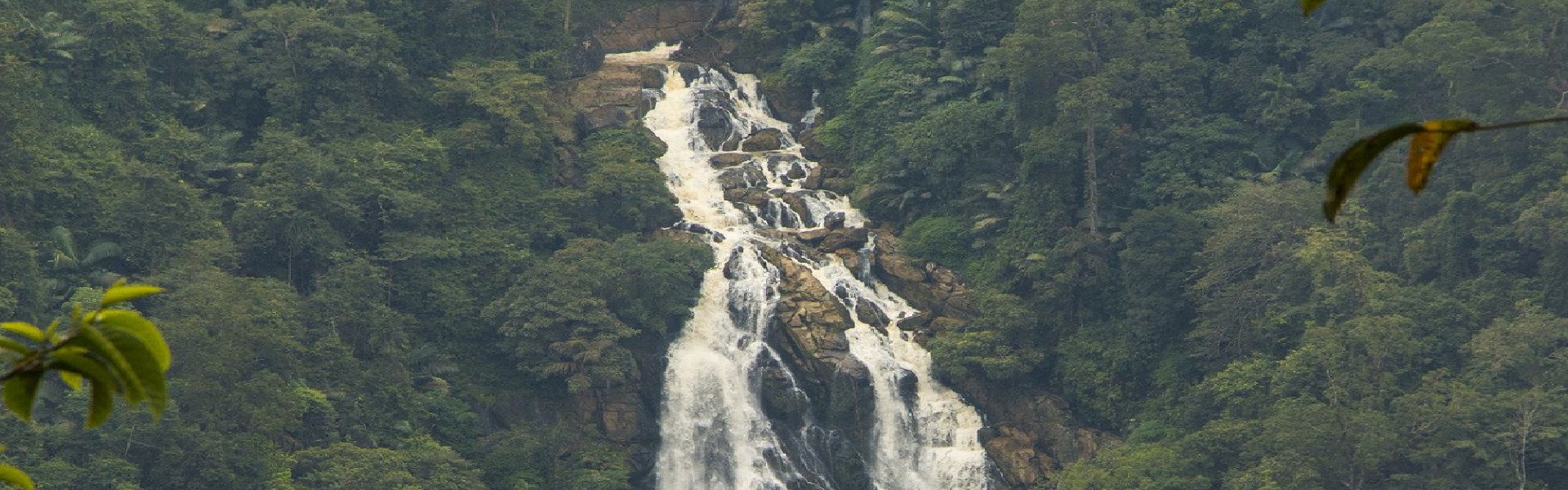 Waterfalls in Wayanad that You won’t miss | Trawell.in Blog