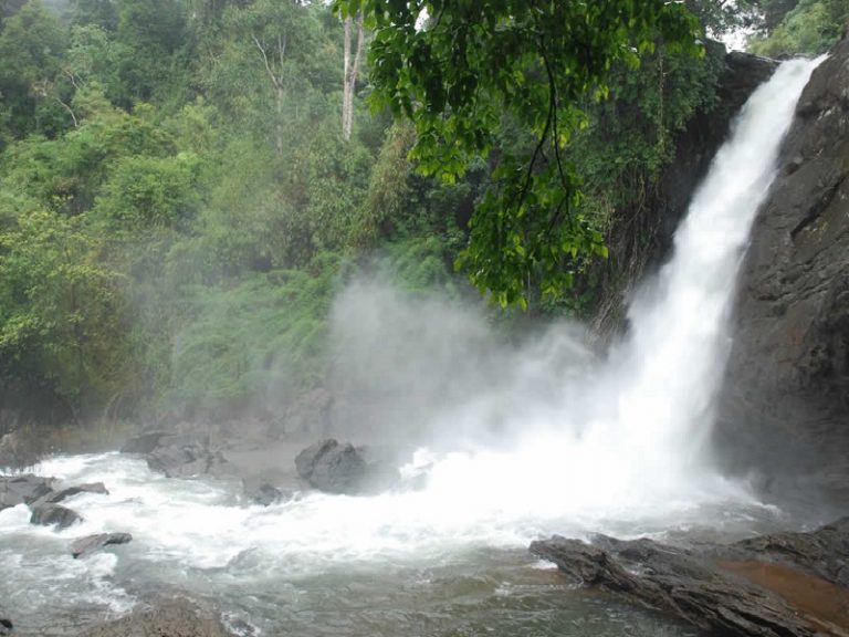 Waterfalls in Wayanad that You won’t miss | Trawell Blog