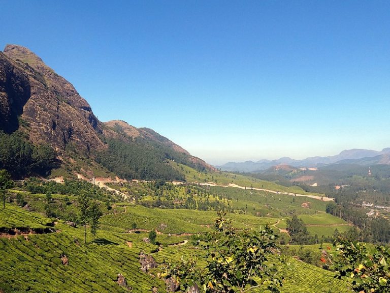 5 Most Stunning Tea Estates in Munnar | Trawell.in Blog