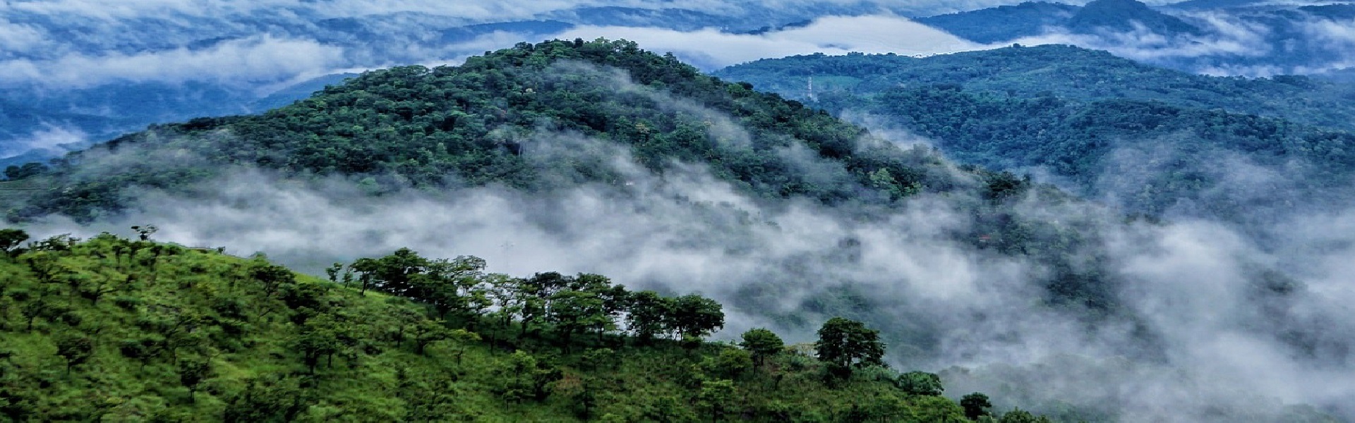 Best Unexplored Places in Wayanad | Trawell.in Blog
