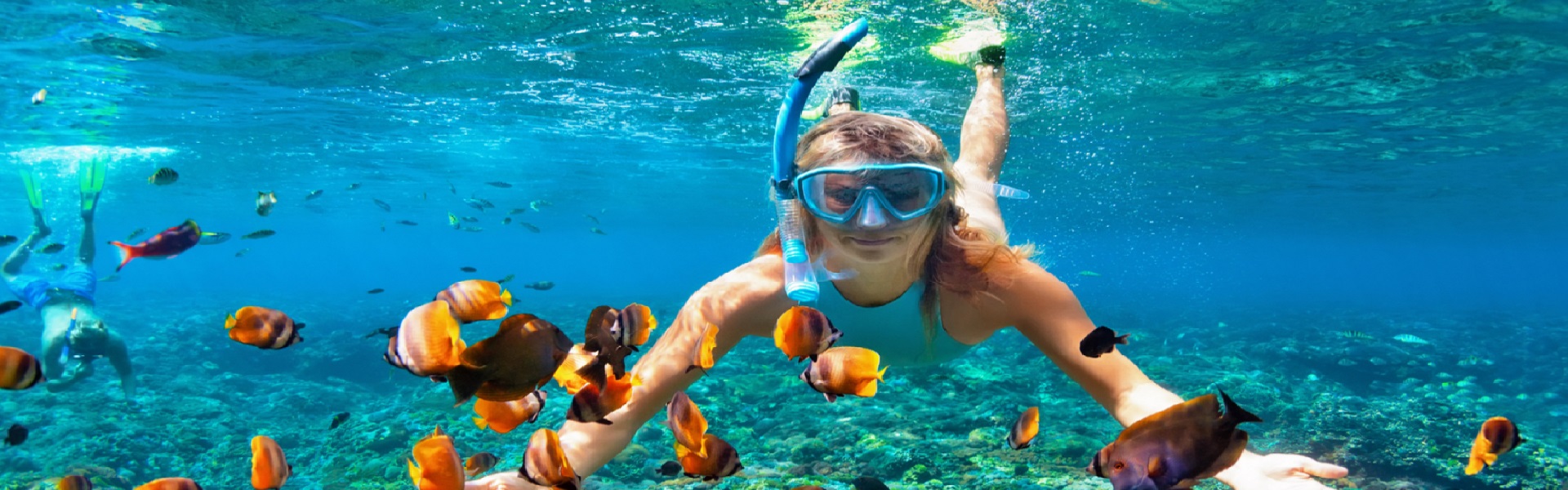 6 Best Places in India for Snorkeling Lovers | Trawell.in Blog