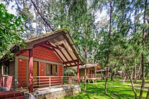 Popular JLR Resorts for a Unique Stay | Trawell.in Blog