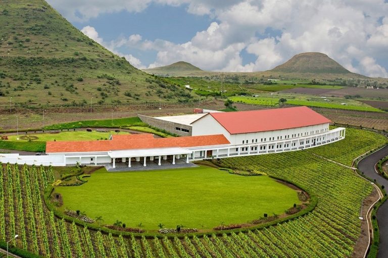 7 Amazing Vineyards in Nashik That All Wine Lovers Should Explore ...