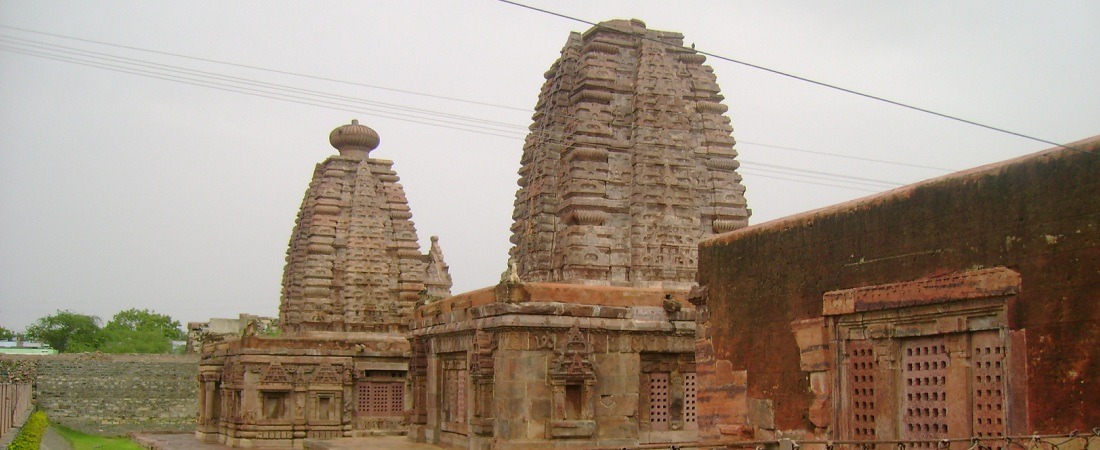 Alampur - Bairluty Jungle Camp (from Hyderabad) - Itinerary, Places to ...