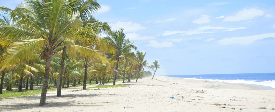 One Day Trip in Alappuzha / Alleppey | Backwaters & Beaches of Alleppey