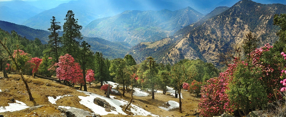 3 Days Trip from Delhi | Best of Almora - Itinerary, Places to Visit ...