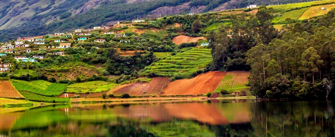 Ooty - Bandipur - Avalanche Lake (from Coimbatore)