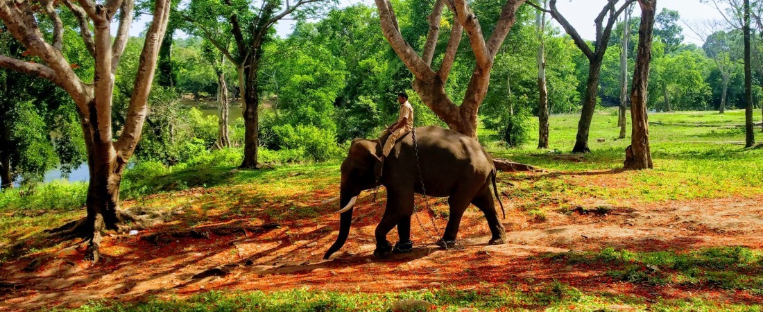 3 Days Trip from Bangalore | Coorg with Mangalore