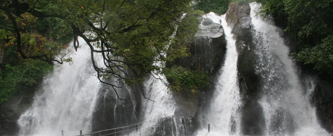 Best of Tenkasi (fromTirunelveli)