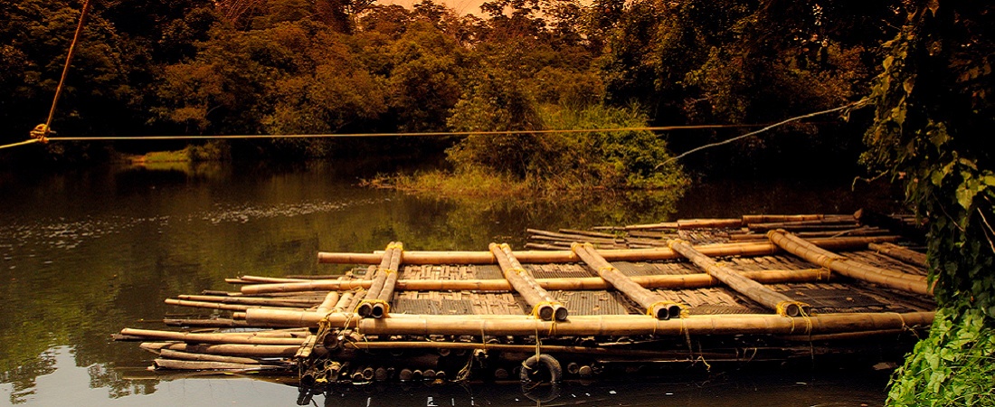 Wayanad - Kuruva Island - Tholpetty Sanctuary (from Kalpetta)