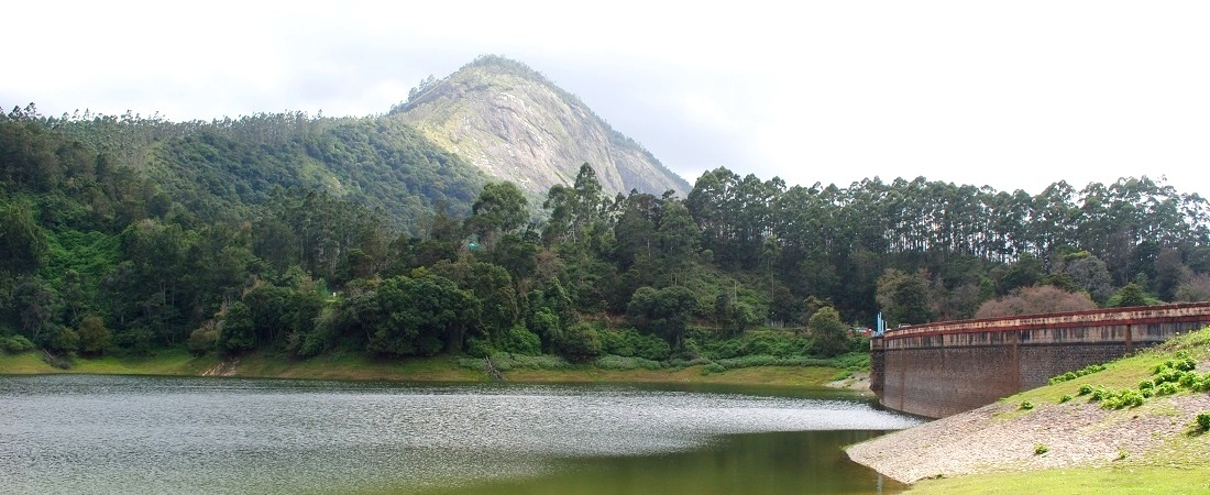 Quick Tour of Kerala (Munnar - Thekkady - Alleppey)