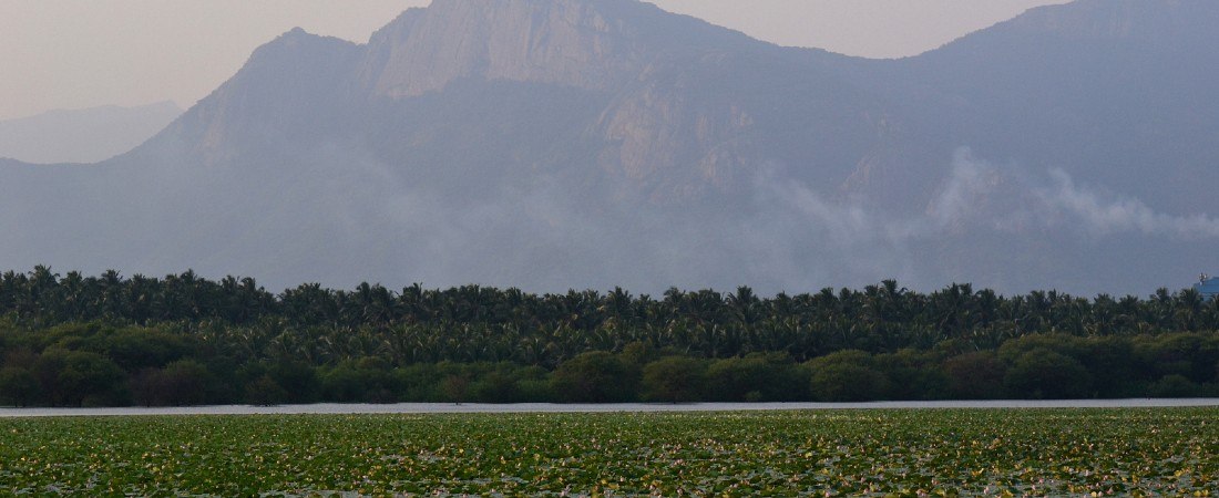 Best of Pallachi & Valparai (from Coimbatore) - Itinerary, Places to ...