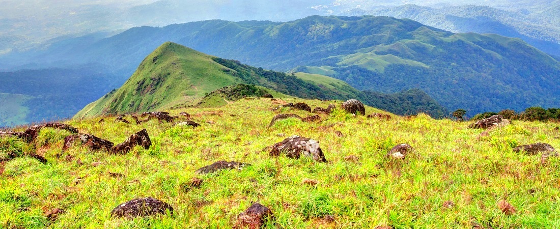 Pushpagiri Karnataka