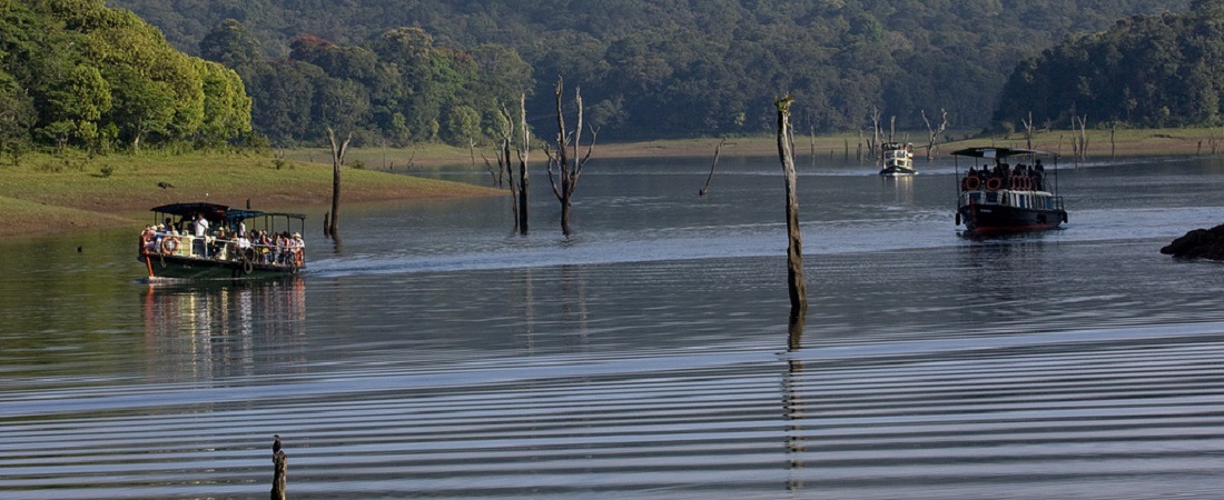 Munnar - Thekkady Tour (from Kochi) - Itinerary, Places to Visit, Tour ...