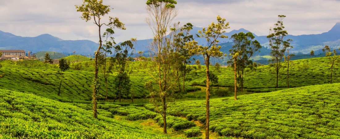 Best of Valparai with Athirapally Falls (from Coimbatore) - Itinerary ...