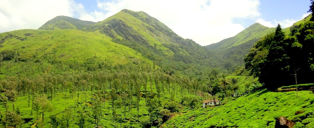 4 Best 2 Days Trips in Wayanad