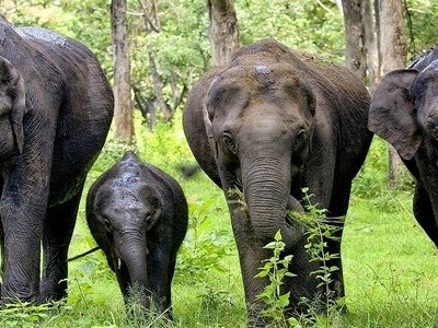 74 Best 2 Days Trips near Bangalore