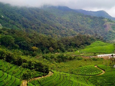 5 Valparai Tour Packages at ₹7000 pp - Lowest Price Online + 20% Off