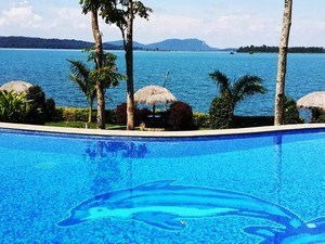 Coorg Jungle Camp, Coorg - Book at Best Price